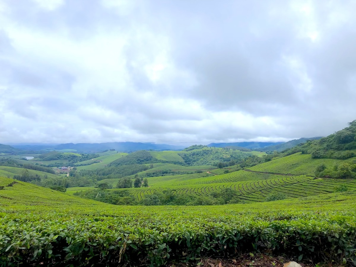 A Tea Wonderland Experience Aberfoyle Lodge – Kicking It With Mimi